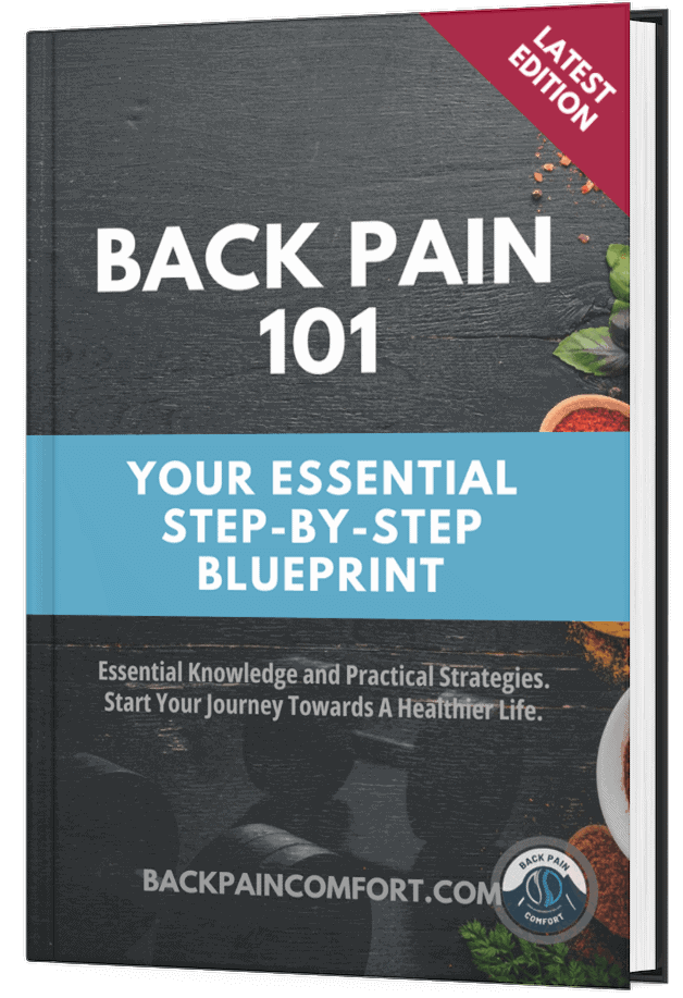 Back Pain Guide - Fitness Guides